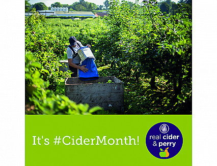 Explore the real cider and perry world - What's Brewing